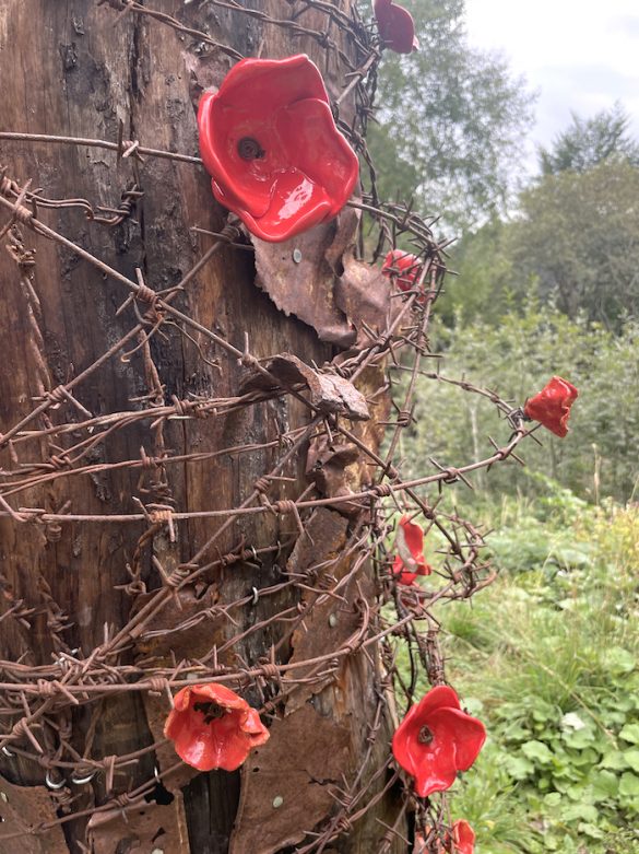 Escursione sul massiccio del monte Grappa: il bosco degli eroi - Il ...